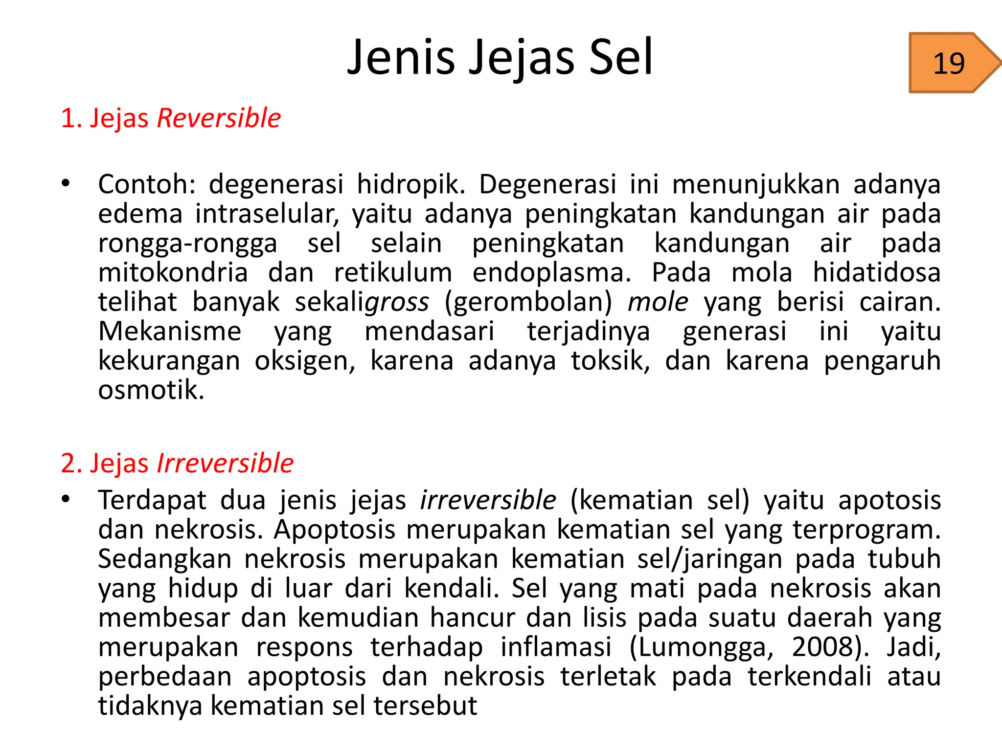 mata ajar patologi Adaptasi, Jejas dan Penuaan Sel.pptx
