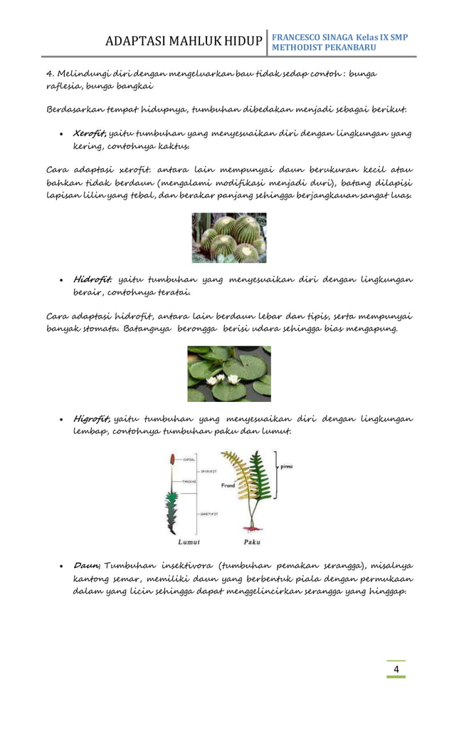 Adaptasi mahluk hidup terhadap lingkungan by sesco | PDF