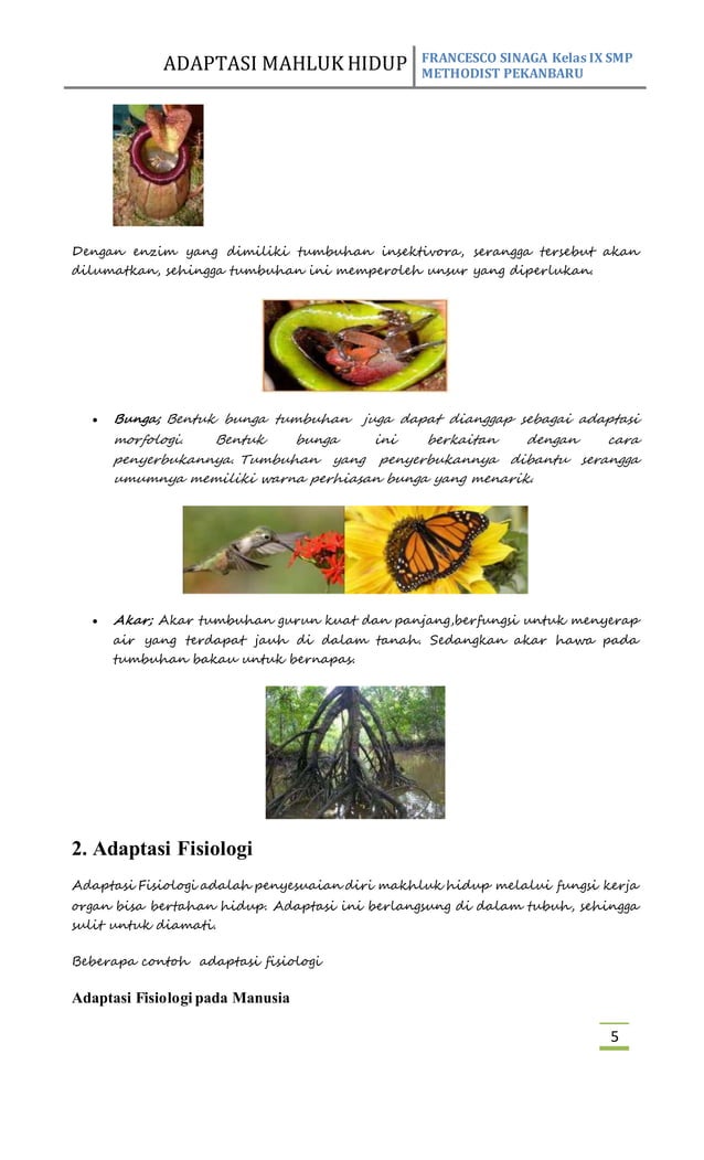 Adaptasi mahluk hidup terhadap lingkungan by sesco | PDF