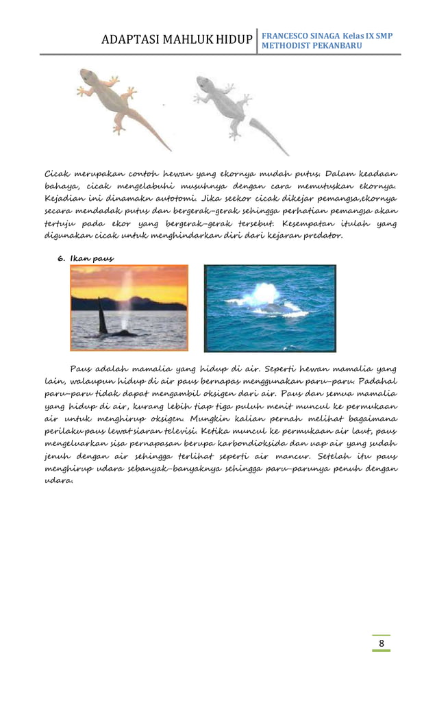 Adaptasi mahluk hidup terhadap lingkungan by sesco | PDF