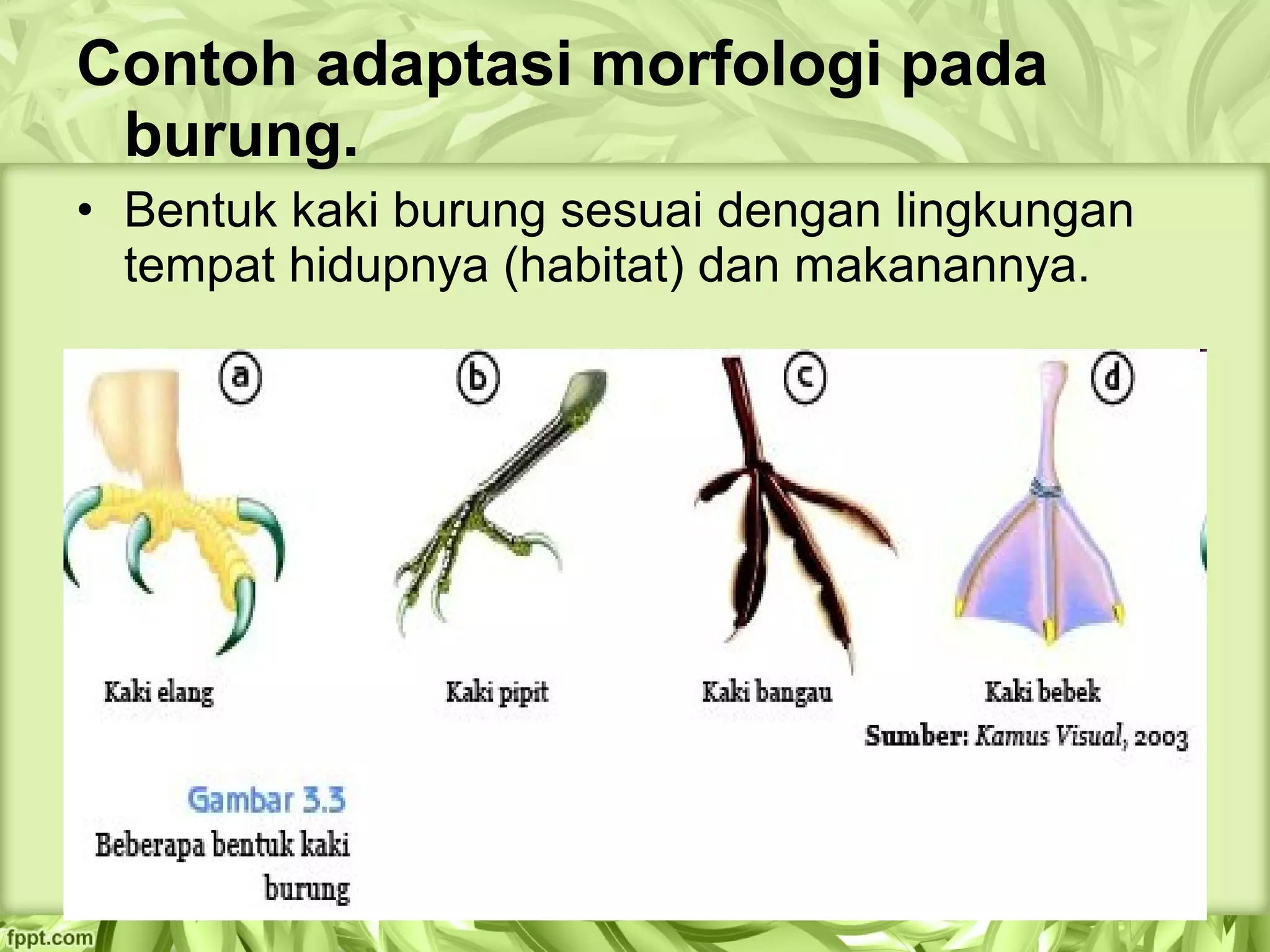 Adaptasi makhluk hidup | PPT