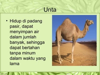 Adaptasi makhluk hidup | PPT