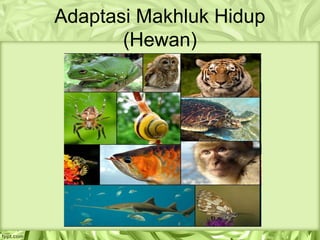 Adaptasi makhluk hidup | PPT