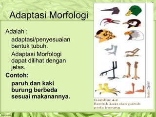 Adaptasi makhluk hidup | PPT