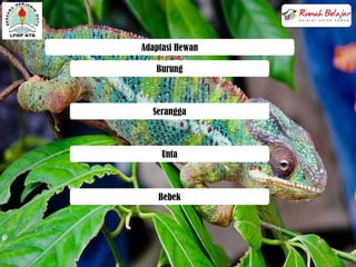 ADAPTASI MAKHLUK HIDUP MATERI IPA SD.pptx