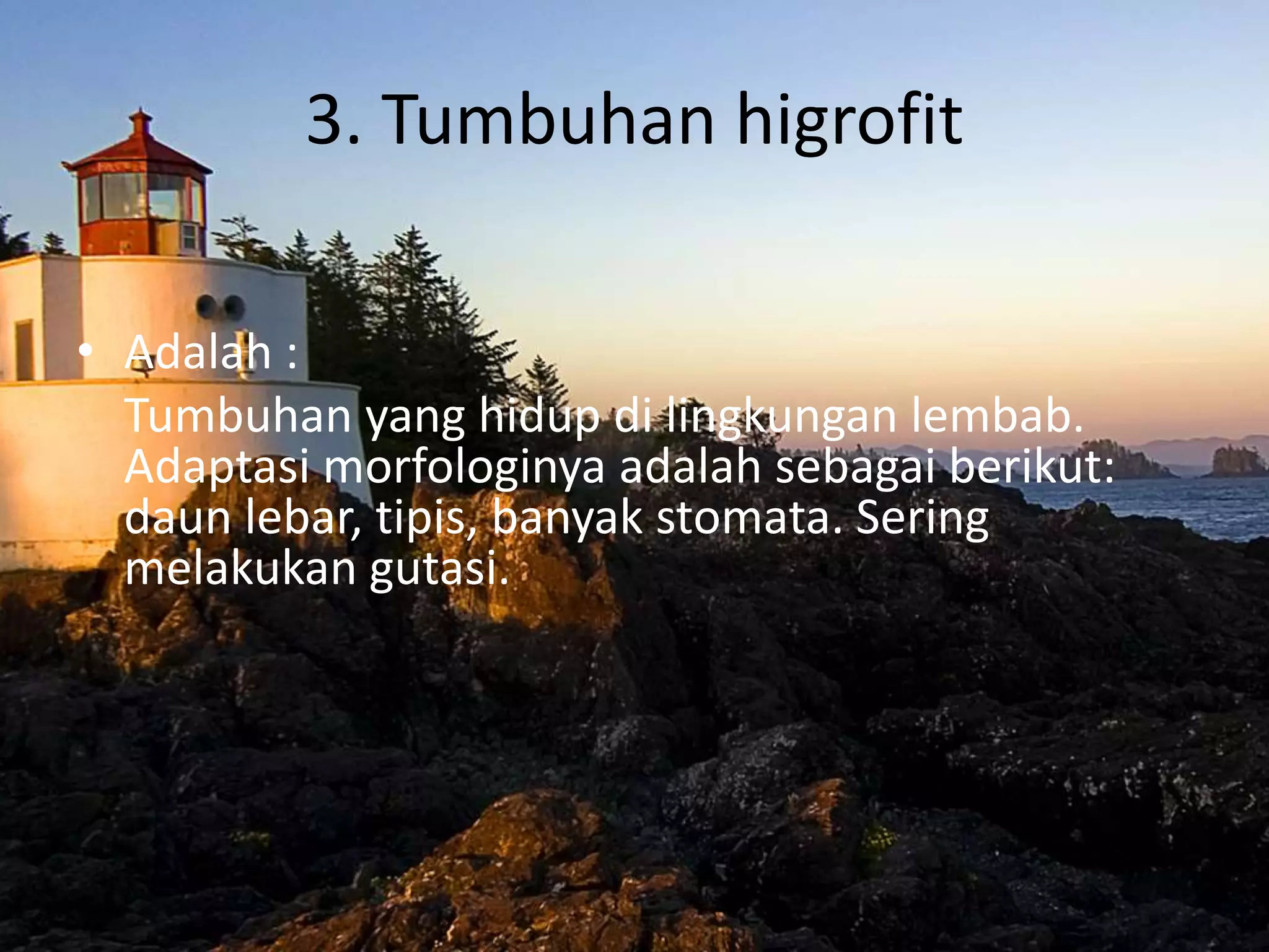 Adaptasi morfologi pada tumbuhan IPA kelas 9 smp | PPTX