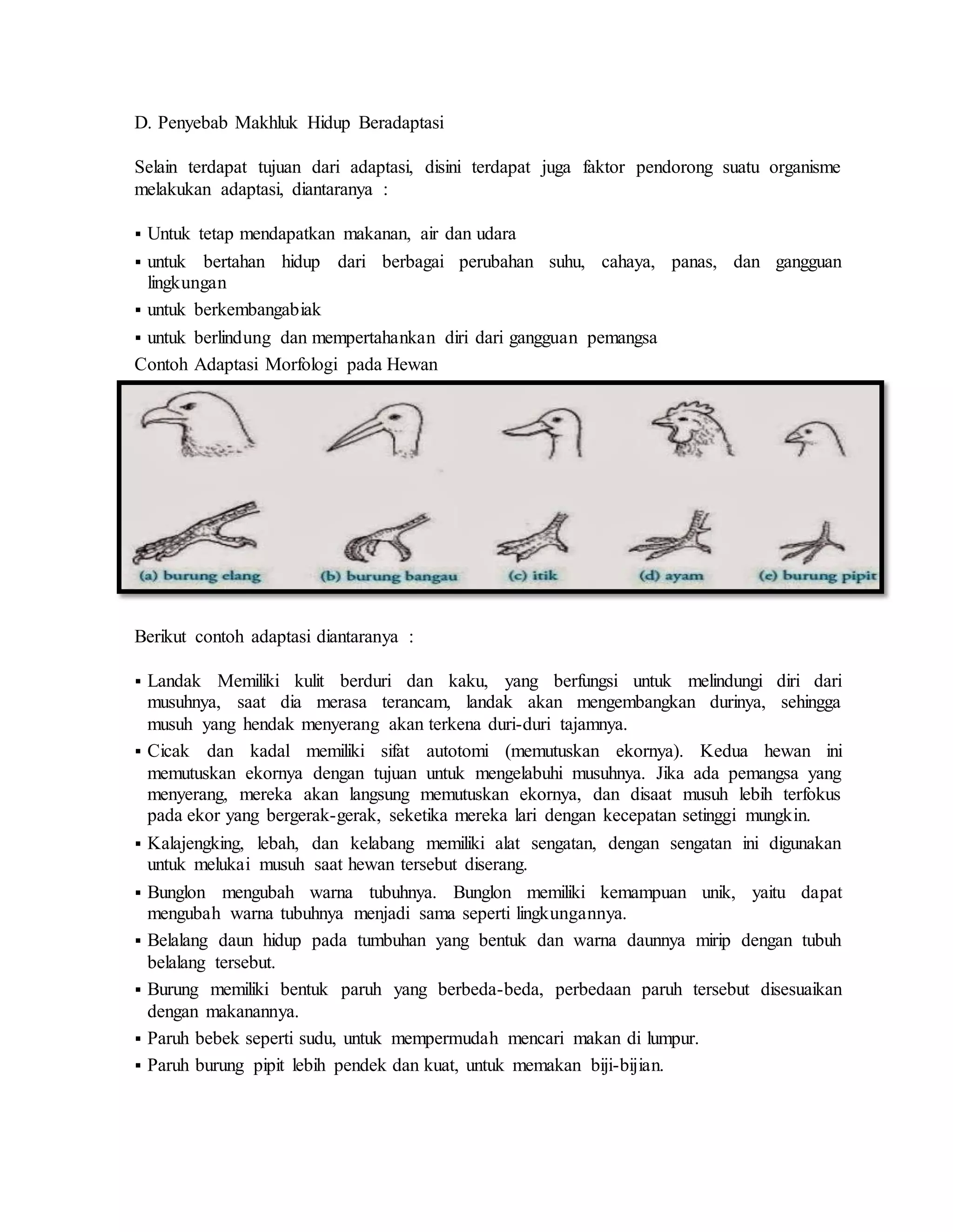Adaptasi pada hewan | DOCX