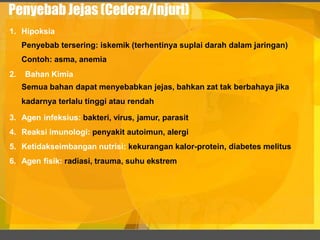 Adaptasi sel, jejas, penuaan sel.pptx