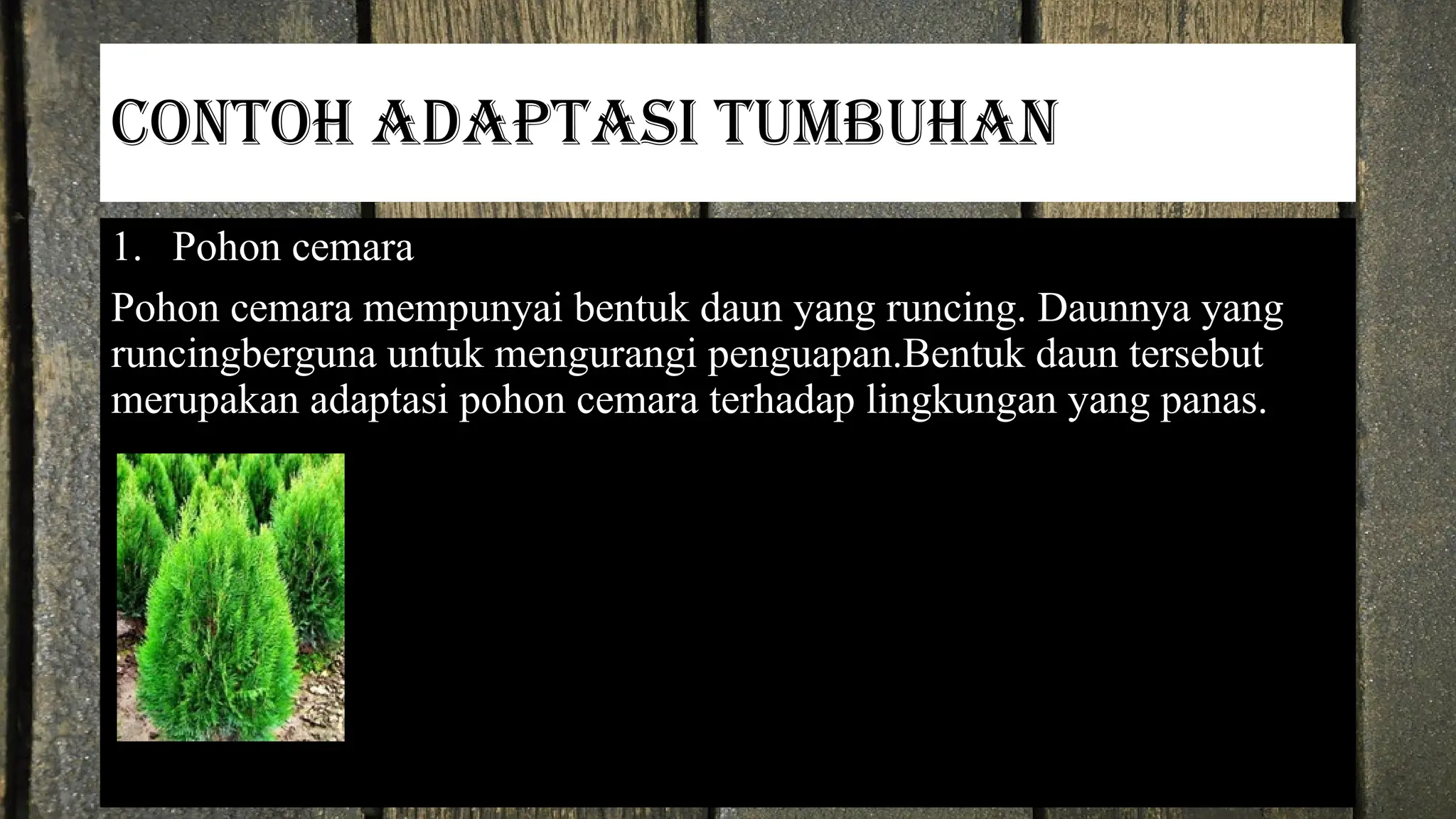 Adaptasi tanaman.pptxyuaigsjhbjabsjbsjxbxjw | PPTX