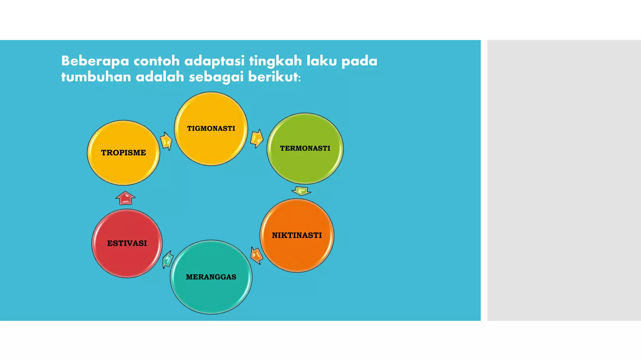 Adaptasi tumbuhan | PPTX