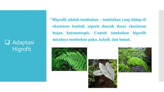 Adaptasi tumbuhan | PPTX