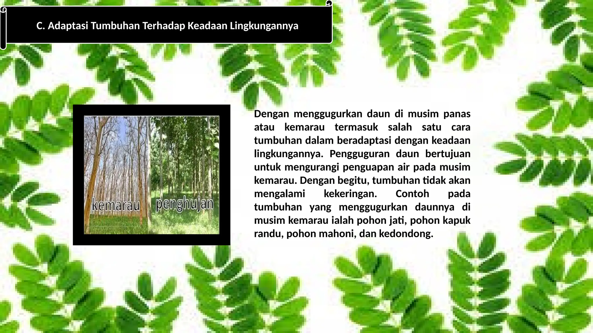 ADAPTASI TUMBUHAN- materi ajar pptx.pptx