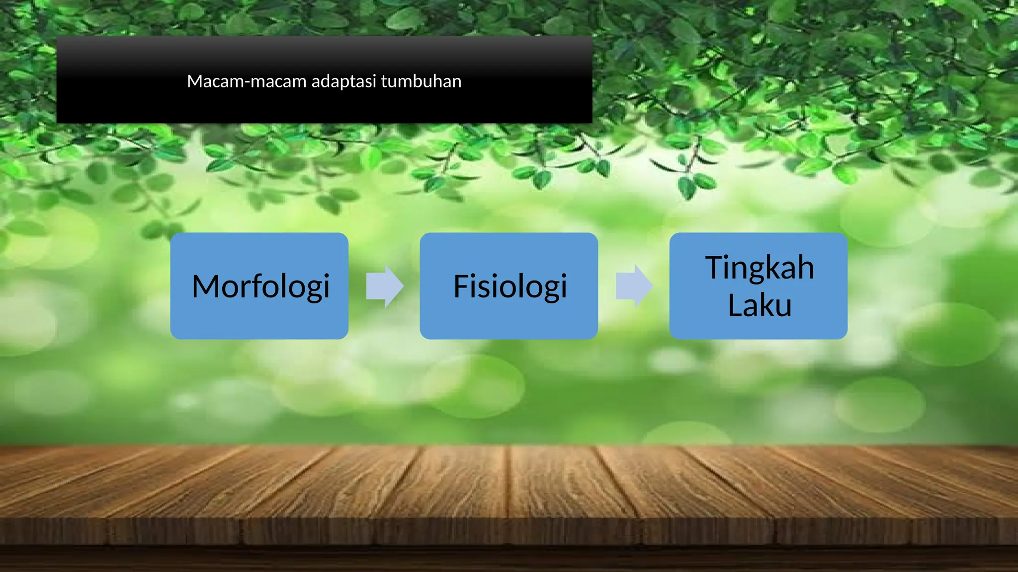 ADAPTASI TUMBUHAN- materi ajar pptx.pptx