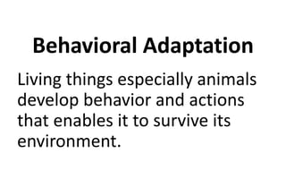 Adaptation | PPT