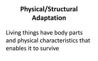 Adaptation | PPTX