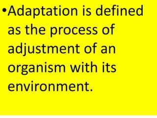 Adaptation | PPT