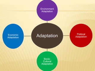 Adaptation | PPTX | Business | Business and Finance