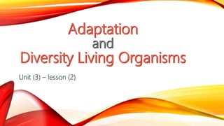 Adaptation | PPT