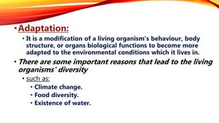 Adaptation | PPT