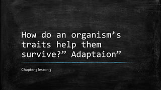 Adaptation | PPT