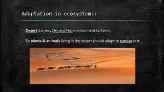 Adaptation | PPT