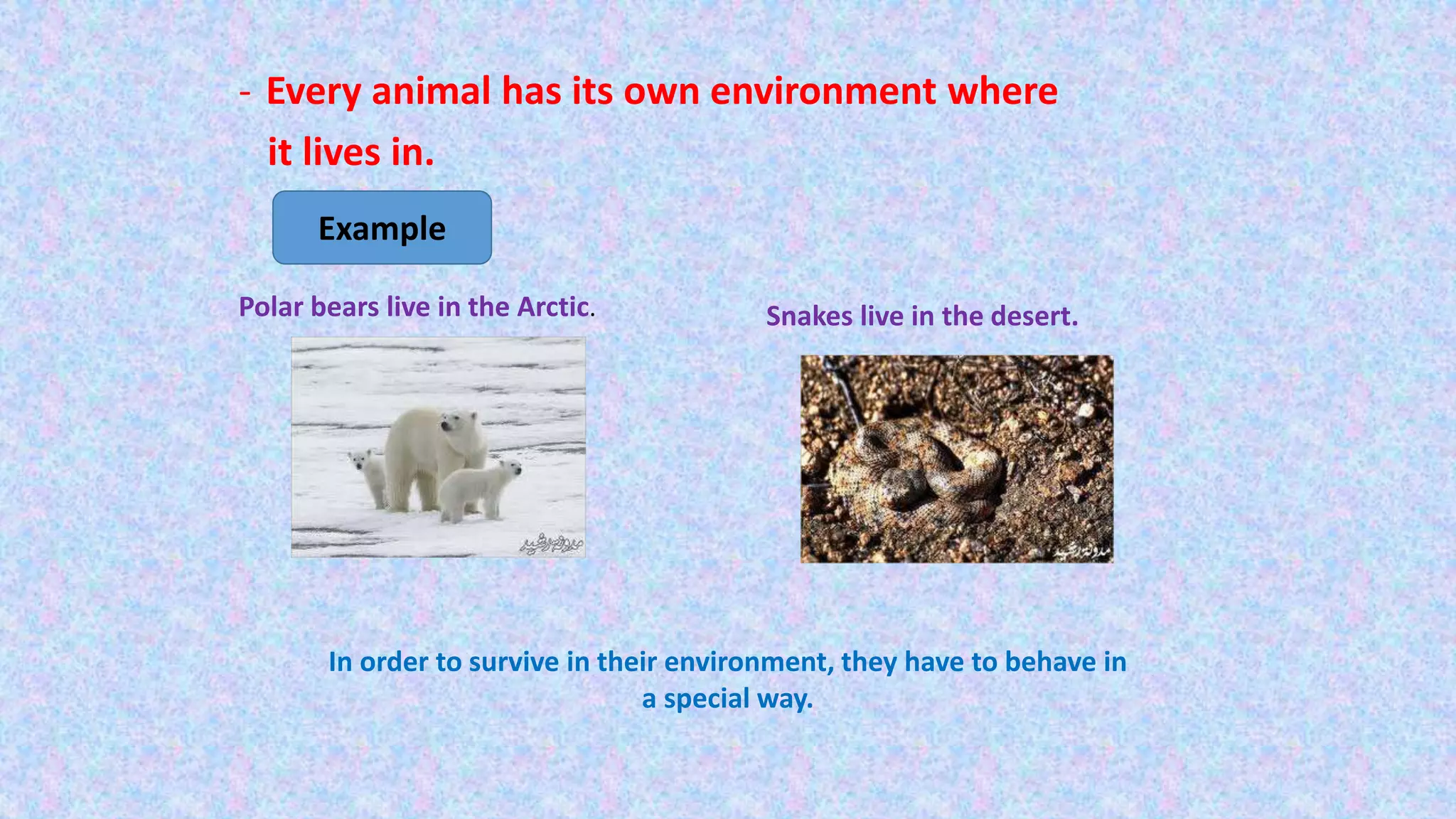 How do an organism's trait help it survive? | PPT