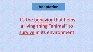 How do an organism's trait help it survive? | PPTX
