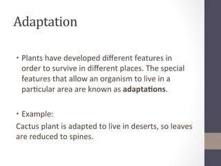 Adaptation for survival in plants | PDF