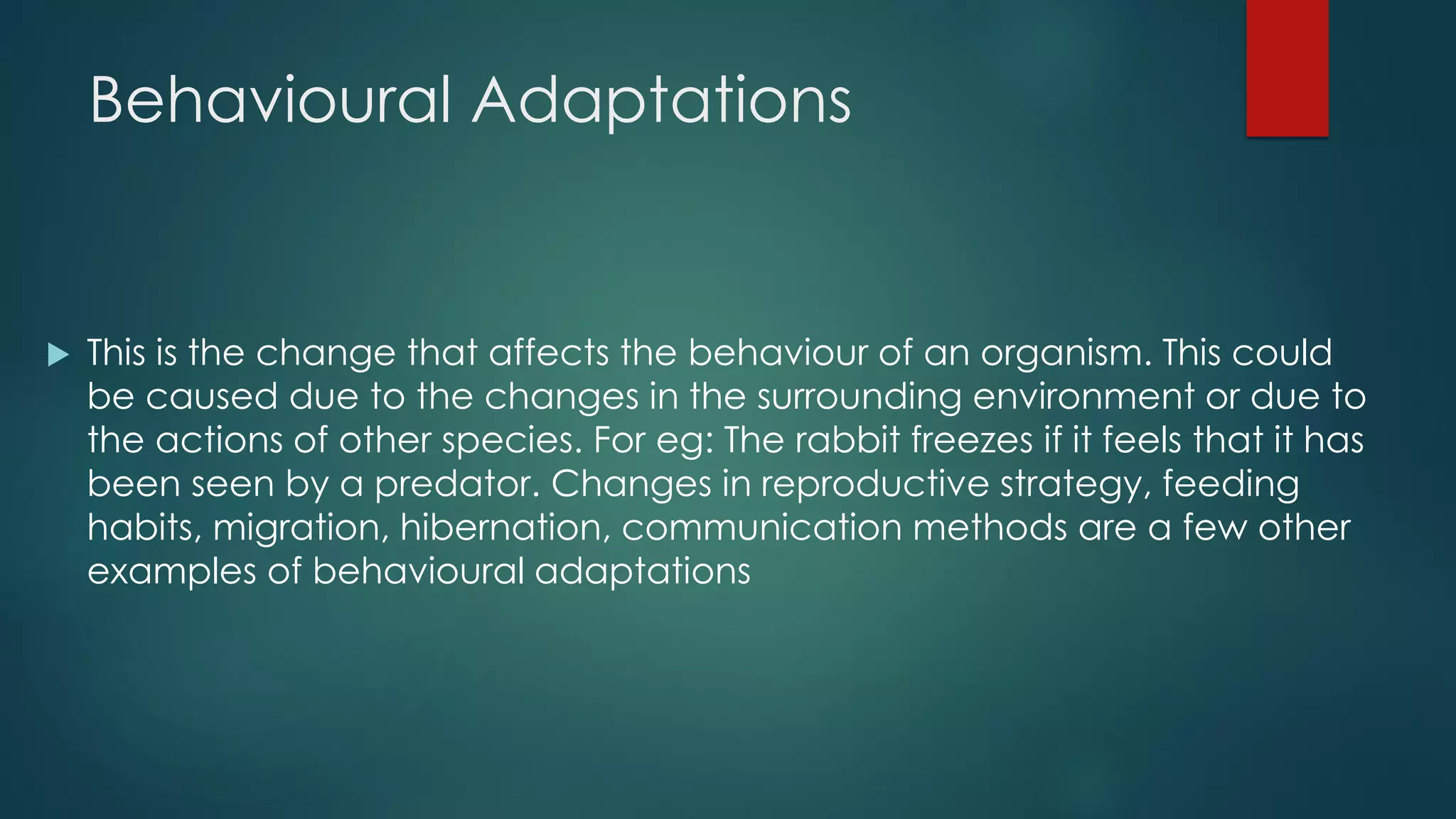 Adaptation | PDF