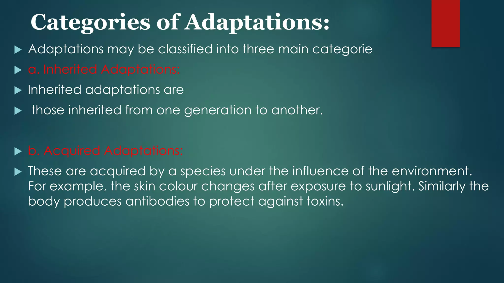 Adaptation | PDF
