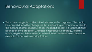 Adaptation | PDF