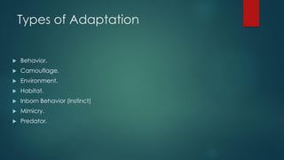 Adaptation | PDF