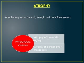 Adaptation .pptx. new .pptxppt adaptation ppt | PPTX
