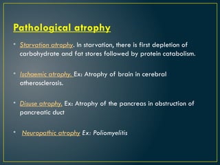 Adaptation .pptx. new .pptxppt adaptation ppt | PPTX