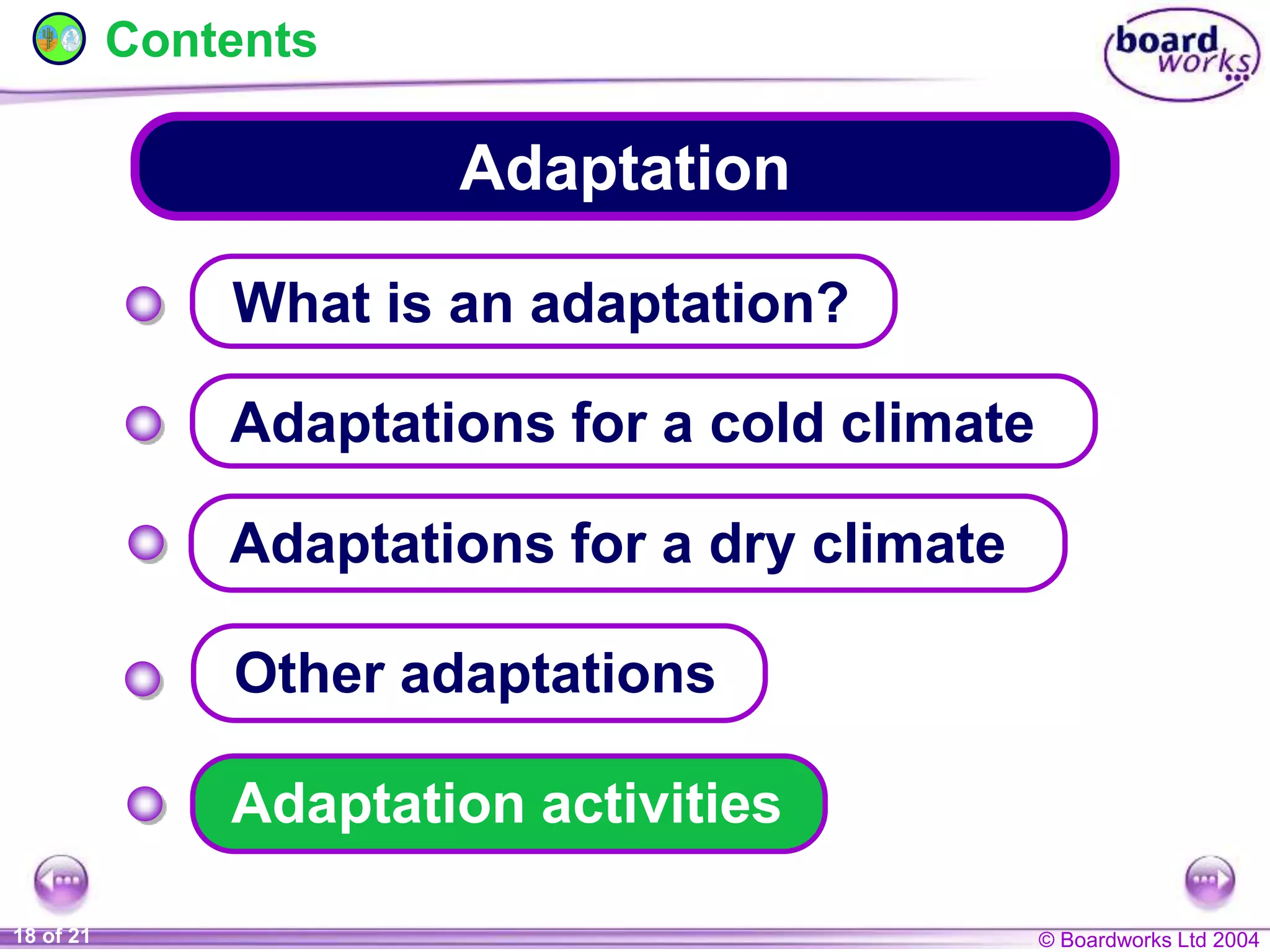 adaptation-boardworks.ppt