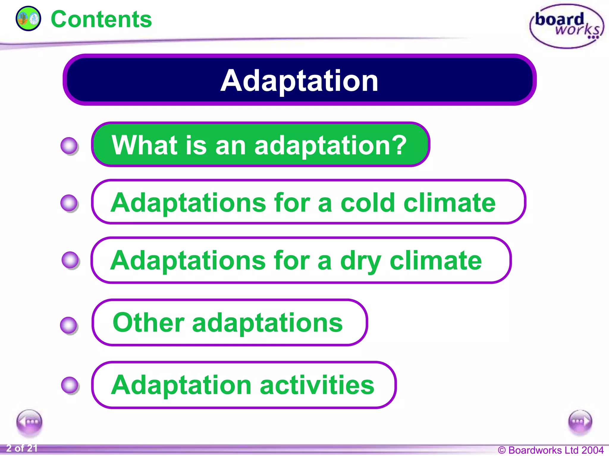 adaptation-boardworks.ppt