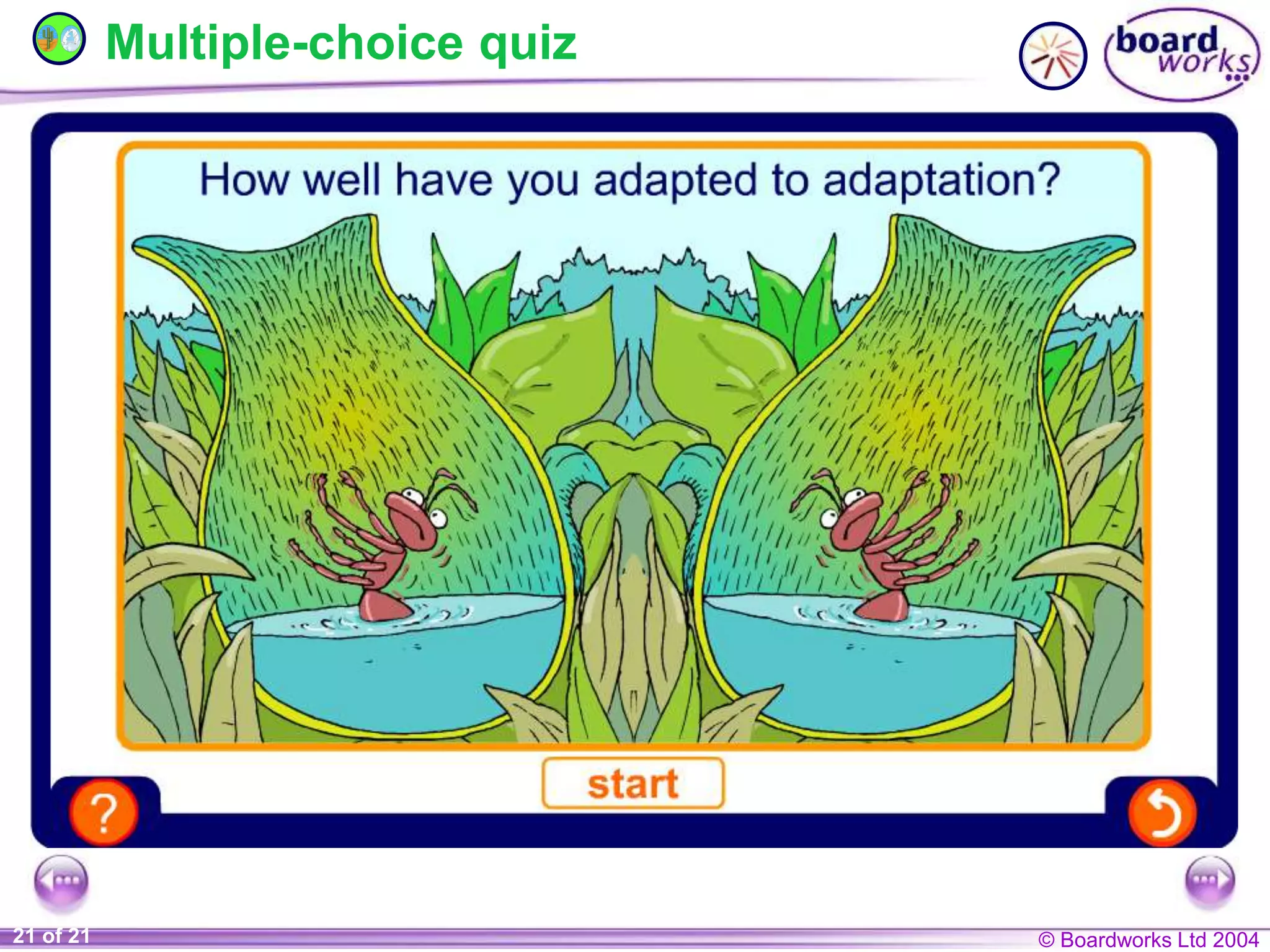 adaptation-boardworks.ppt