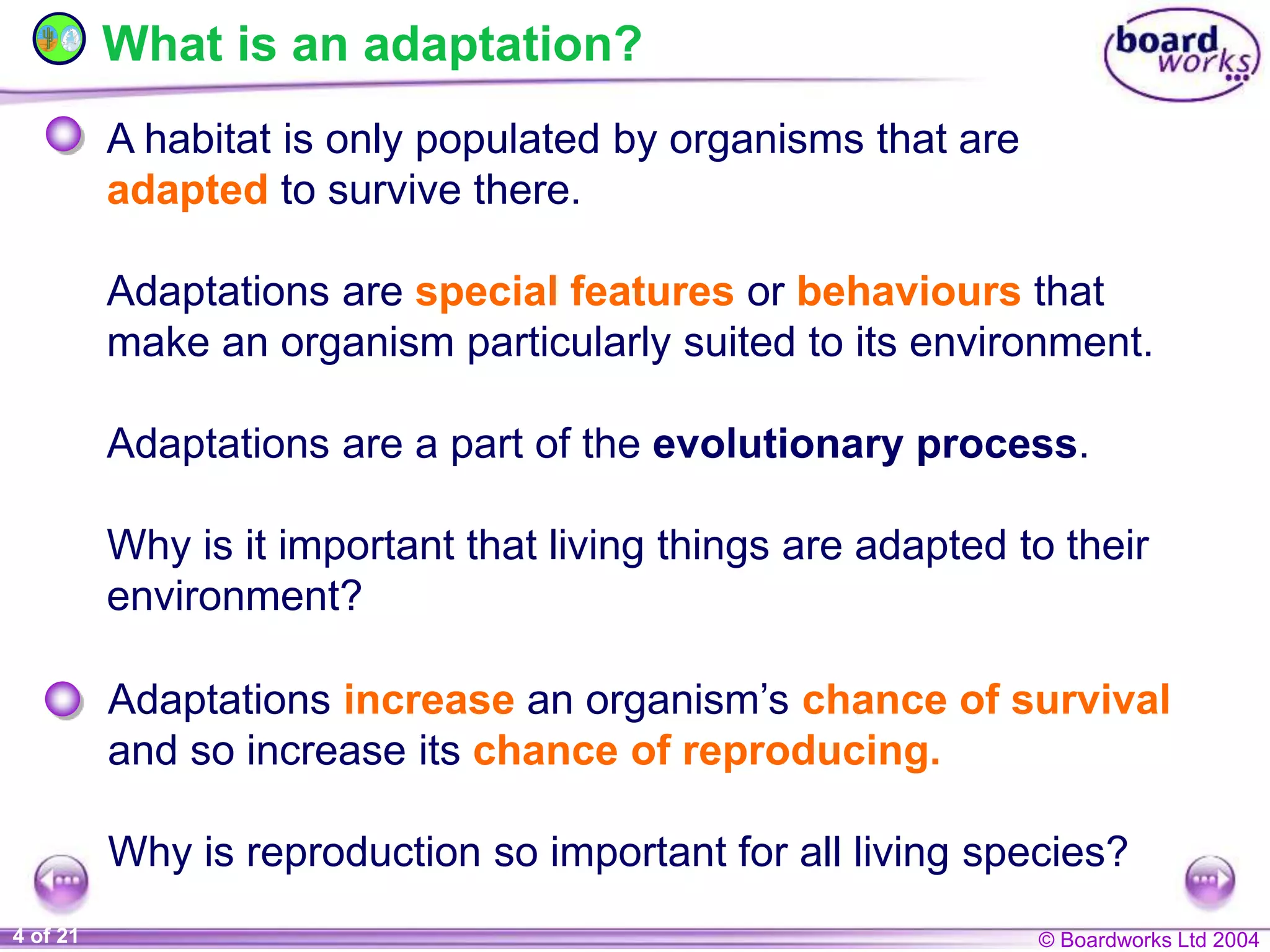 adaptation-boardworks.ppt
