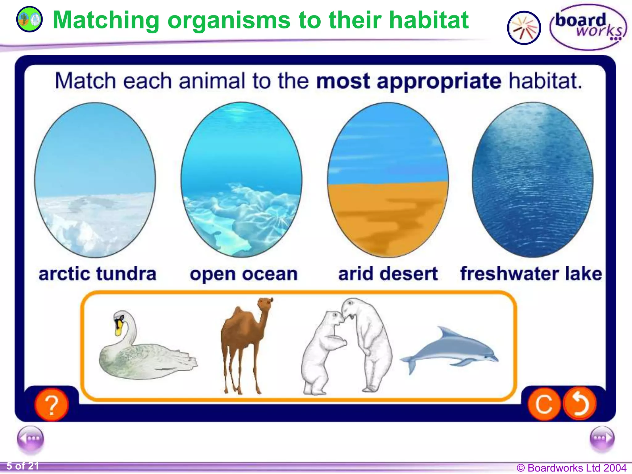 adaptation-boardworks.ppt