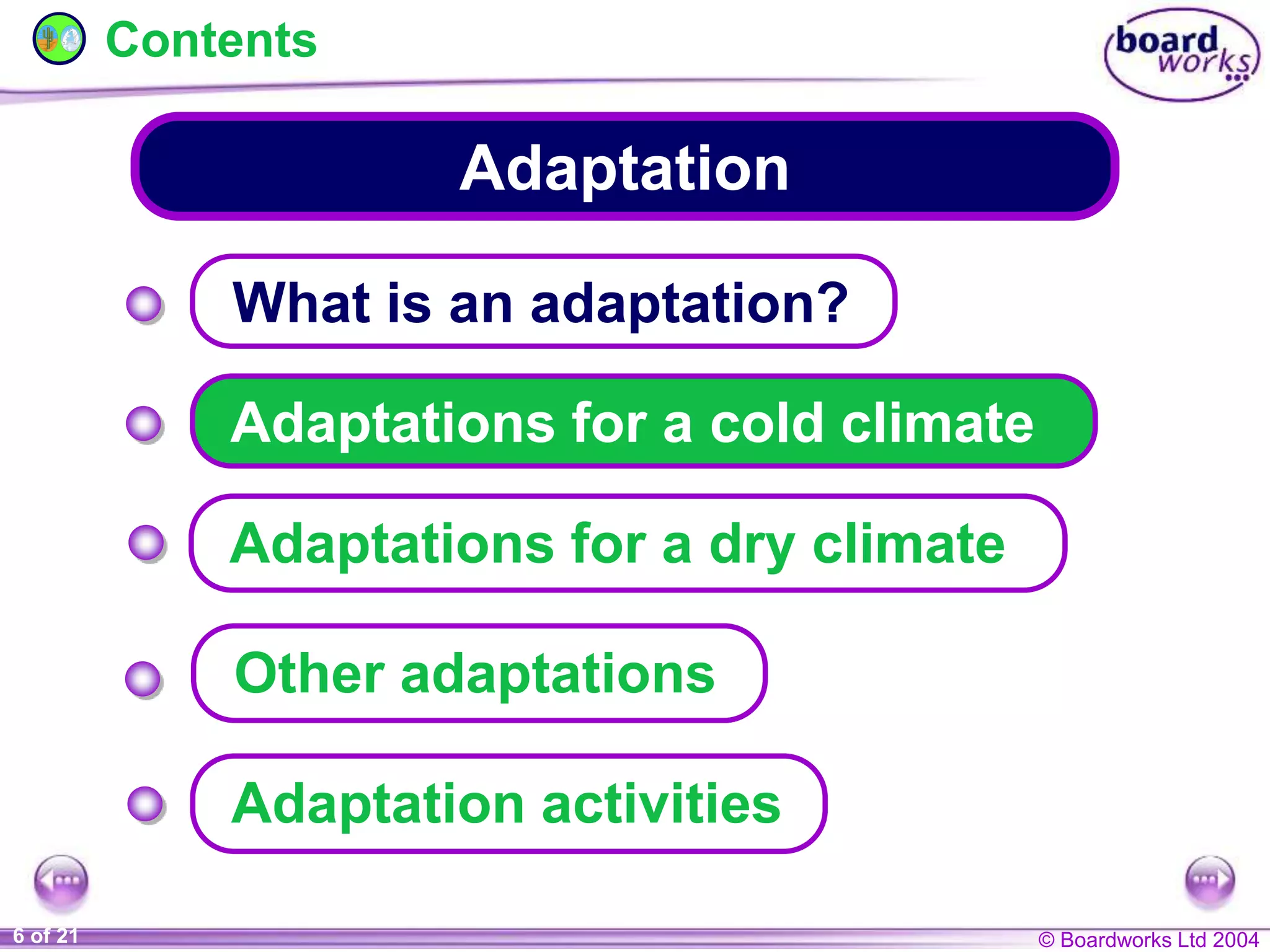 adaptation-boardworks.ppt