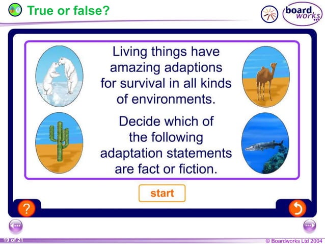 adaptation-boardworks.ppt