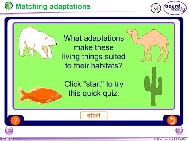 adaptation-boardworks.ppt