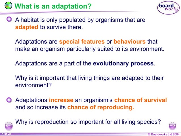 adaptation-boardworks.ppt