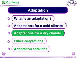 adaptation-boardworks.ppt