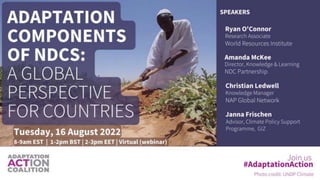 Adaptation Components of NDCs: A Global Perspective for Countries | PPTX