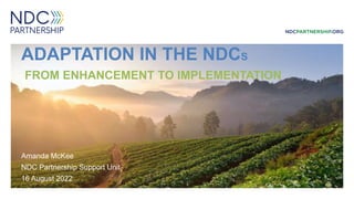 Adaptation Components of NDCs: A Global Perspective for Countries | PPTX