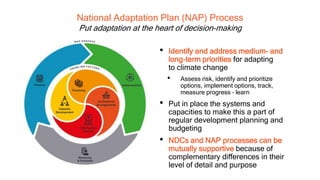 Adaptation Components of NDCs: A Global Perspective for Countries | PPTX