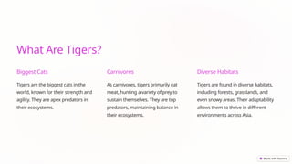Adaptation-of-Tigers-to-Tropical-Environments-The-Malayan-Tiger.pptx