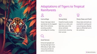 Adaptation-of-Tigers-to-Tropical-Environments-The-Malayan-Tiger.pptx