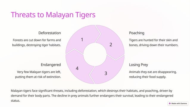 Adaptation-of-Tigers-to-Tropical-Environments-The-Malayan-Tiger.pptx